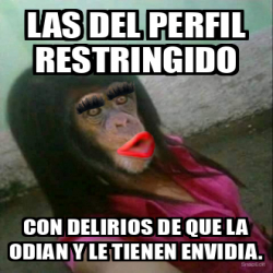 Meme Personalizado - Las del perfil restringido Con delirios de que la odian y le tienen envidia ...