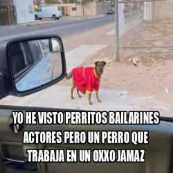 Meme Personalizado - Yo he visto perritos bailarines actores pero un ...