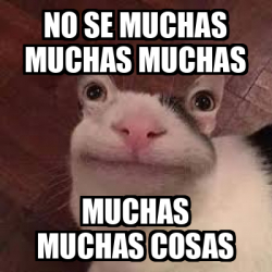 Meme Personalizado - No se muchas muchas muchas Muchas muchas cosas ...