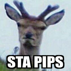 Meme Personalizado - STA PIPS - 33395862