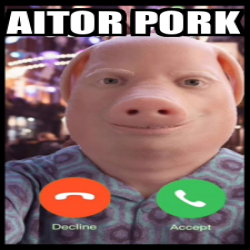 Meme Personalizado - Aitor PORK - 33395869