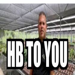 Meme Personalizado - HB to you - 33396734