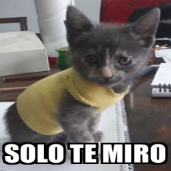 Meme Personalizado - solo te miro - 33398760