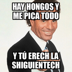 Meme Julio Iglesias - Hay hongos y me pica todo Y tú erech la ...
