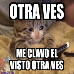 Meme Personalizado - Otra ves Me clavo el visto otra ves - 33049891