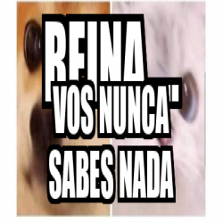Meme Personalizado - Reina…. Vos NUNCA sabes NADA - 33400290