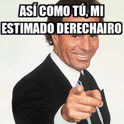 Meme Julio Iglesias - Así como tú, mi estimado derechairo - 33401254