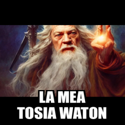 Meme Personalizado - La mea tosia waton - 33401710