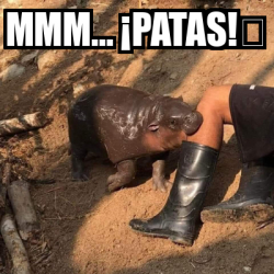 Meme Personalizado - mmm... ¡PATAS! - 33402613