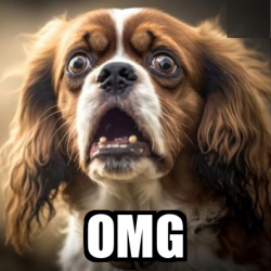 Meme Personalizado - omg - 33403951