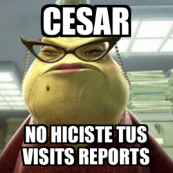 Meme Personalizado - Cesar No hiciste tus visits reports - 33409653