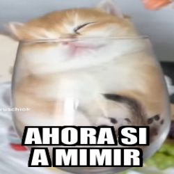 Meme Personalizado - AHORA SI A MIMIR - 33409767