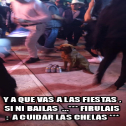 Meme Personalizado - Y a que vas a las fiestas , si ni bailas ...