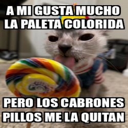 Meme Personalizado - A mi gusta mucho la Paleta Colorida Pero Los ...