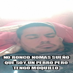 Meme Personalizado - No ronco nomas sueño que soy un perro pero tengo ...