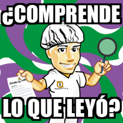 Meme Personalizado - ¿COMPRENDE LO QUE LEYÓ? - 33415478