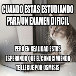 Meme Personalizado - cuando estas estudiando para un examen dificil ...