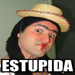 Meme Personalizado - Estupida - 33422520