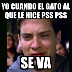 Meme crying peter parker - yo cuando el gato al que le hice pss pss se ...