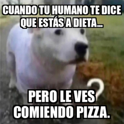 Meme Personalizado - Cuando tu humano te dice que estás a dieta... Pero ...