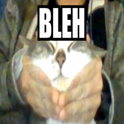 Meme Personalizado - bleh - 33423110