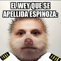 Meme Personalizado - El wey que se apellida Espinoza: - 33424524