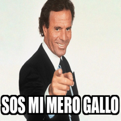 Meme Personalizado - sos mi mero gallo - 33426315