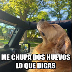 Meme Personalizado - Me chupa dos huevos lo que digas - 33426457