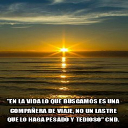 Meme Personalizado - "En la vida lo que buscamos es una compañera de ...