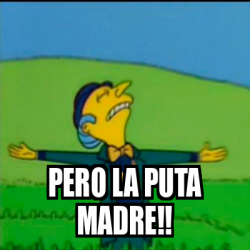 Meme Personalizado - PERO LA PUTA MADRE!! - 33427381