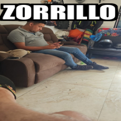 Meme Personalizado - Zorrillo - 33427657