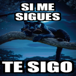 Meme Personalizado - Si me sigues Te sigo - 33431148