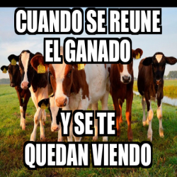 Meme Personalizado - cuando se reune el ganado y se te quedan viendo ...