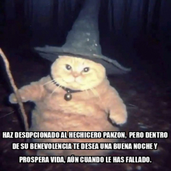 Meme Personalizado - Haz desdpcionado al hechicero panzon, pero dentro ...
