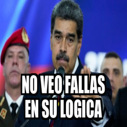 Meme Personalizado - no veo fallas en su logica - 33435142
