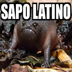 Meme Personalizado - Sapo latino - 33435304