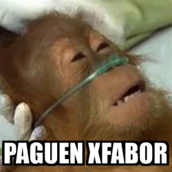 Meme Personalizado - paguen xfabor - 33435800