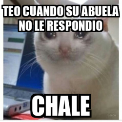Meme Personalizado - teo cuando su abuela no le respondio chale - 33438734