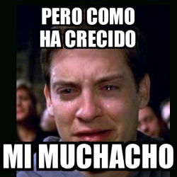 Meme crying peter parker - Pero como ha crecido mi muchacho - 33440733