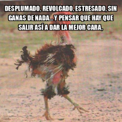 Meme Personalizado - Desplumado, revolcado, estresado, sin ganas de ...