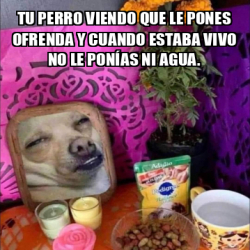 Meme Personalizado - Tu perro viendo que le pones ofrenda y cuando ...