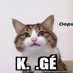 Meme Personalizado - K. .gé - 33441866