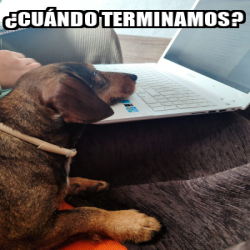 Meme Personalizado - ¿Cuándo terminamos? - 33442380