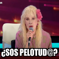 Meme Personalizado - ¿sos pelotud@? - 33442483