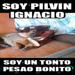 Meme Personalizado - Soy pilvin ignacio Soy un tonto pesao bonito ...