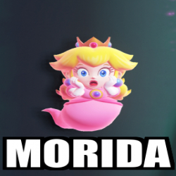 Meme Personalizado - MORIDA - 33444637