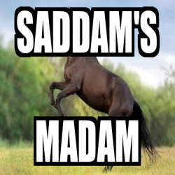 Meme Personalizado - Saddam's Madam - 33446486
