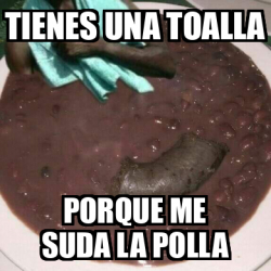 Meme Personalizado - Tienes una toalla Porque me suda la polla - 33448945