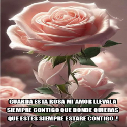 Meme Personalizado - GUARDA ESTA ROSA MI AMOR LLEVALA SIEMPRE CONTIGO ...