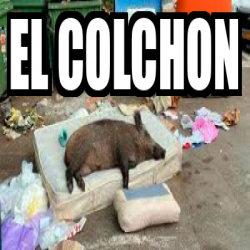 Meme Personalizado - El colchon - 33452913